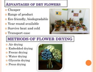 Dry flower processing technology | PDF