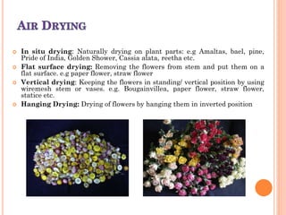 Dry flower processing technology | PDF