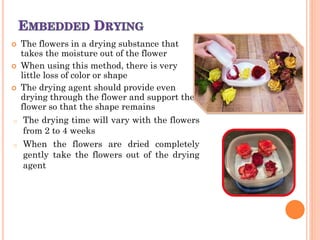 Dry flower processing technology | PDF