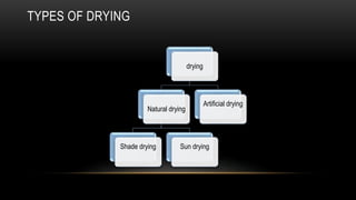 Drying | PPTX | Gardening | Home & Garden
