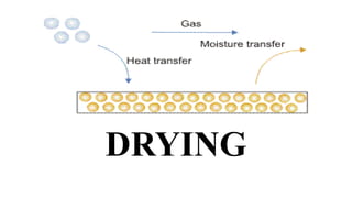 Drying | PPT
