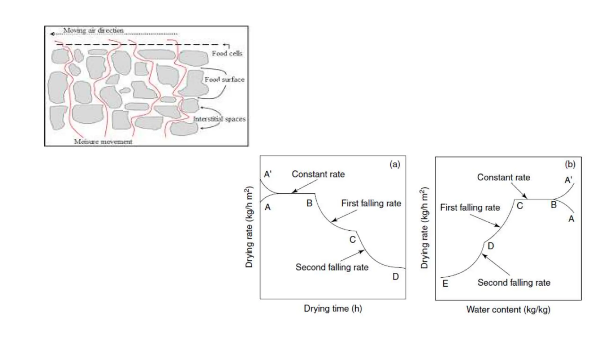 Drying & Dehydration of Fruit & Vegetable- Principle, equipment ...