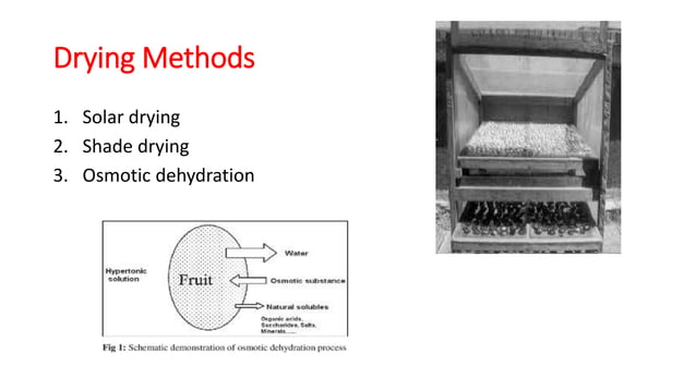 Drying & Dehydration of Fruit & Vegetable- Principle, equipment, product | PPTX | Home ...