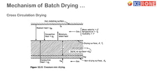 Drying of Wet Solid- KERONE | PDF