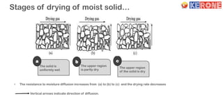 Drying of Wet Solid- KERONE | PDF