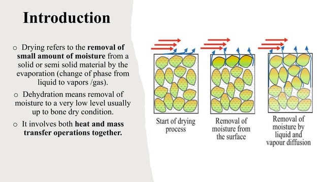 Drying and Dehydration.pptx | Home Appliances | Home & Garden