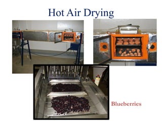 Drying and dehydration of fruits and vegetables | PDF