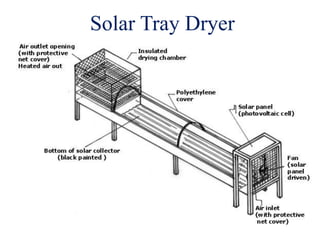 Drying and dehydration of fruits and vegetables | PDF