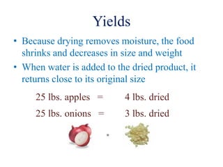 Drying and dehydration of fruits and vegetables | PDF