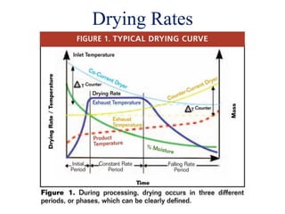 Drying and dehydration of fruits and vegetables | PDF
