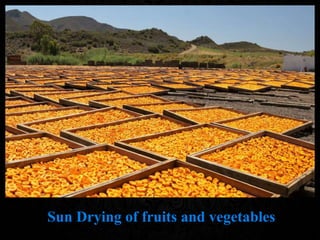 Drying and dehydration of fruits and vegetables | PPTX