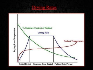 Drying and dehydration of fruits and vegetables | PPTX