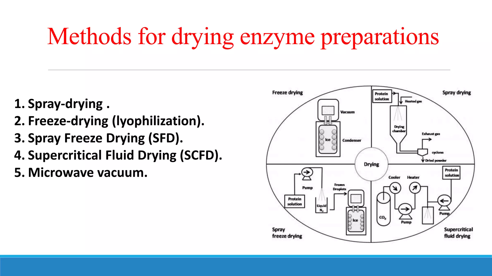 Methods for Drying Enzyme Preparations | PPTX