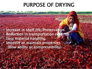 Drying equipments | PPTX