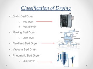 Drying & its process | PPTX | Home Appliances | Home & Garden