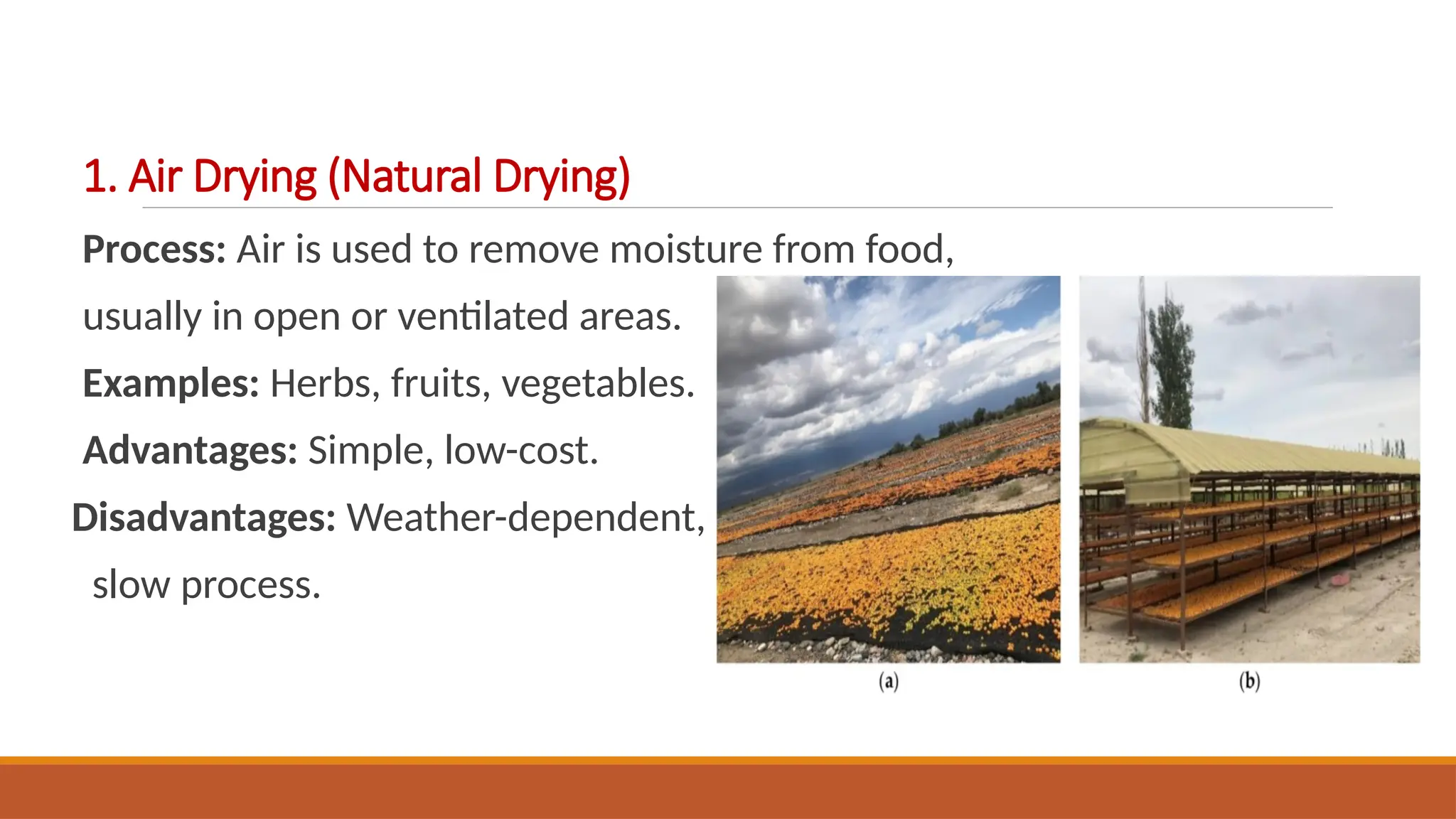 drying methods of food (different types of drying methods and dryers ...