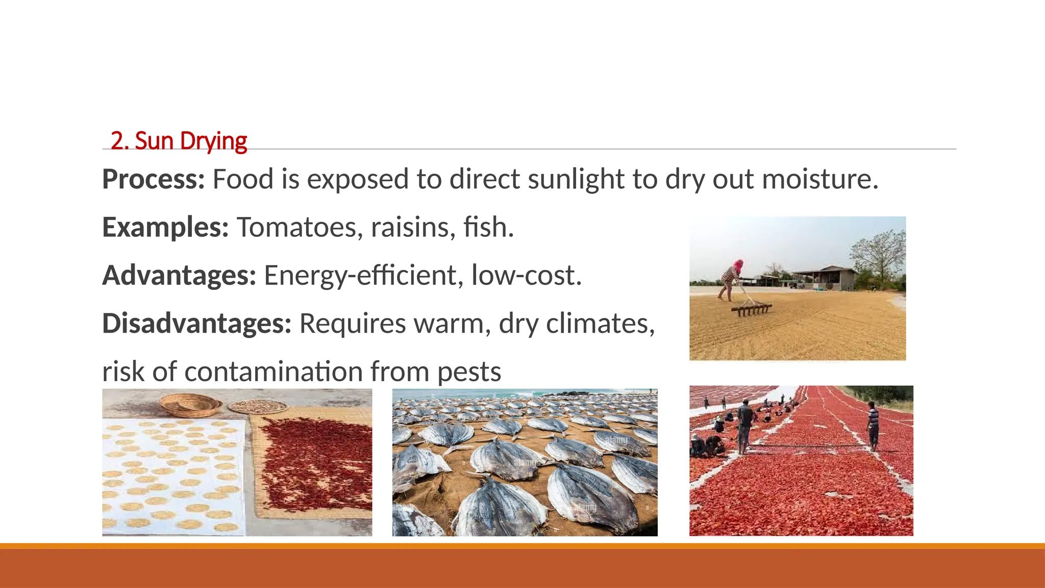 drying methods of food (different types of drying methods and dryers ...