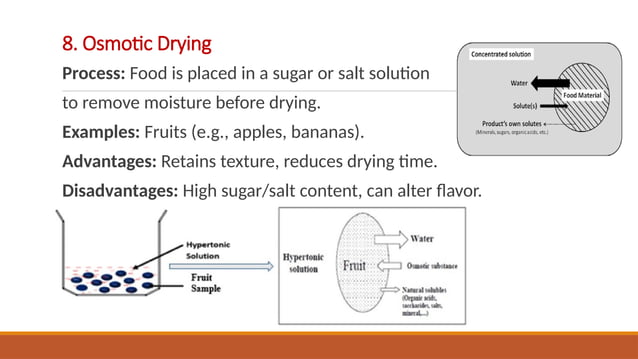 drying methods of food (different types of drying methods and dryers ...