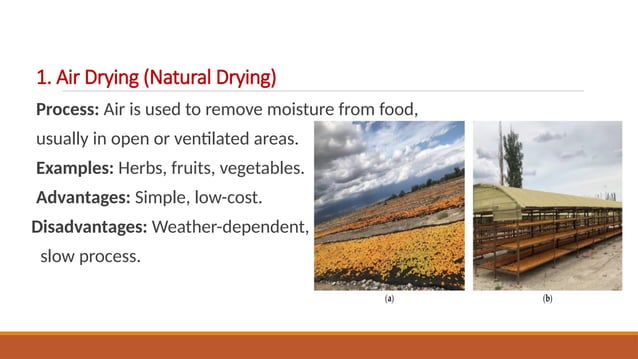 drying methods of food (different types of drying methods and dryers ...