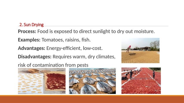 drying methods of food (different types of drying methods and dryers ...