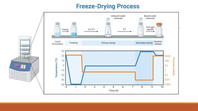 drying methods of food (different types of drying methods and dryers ...