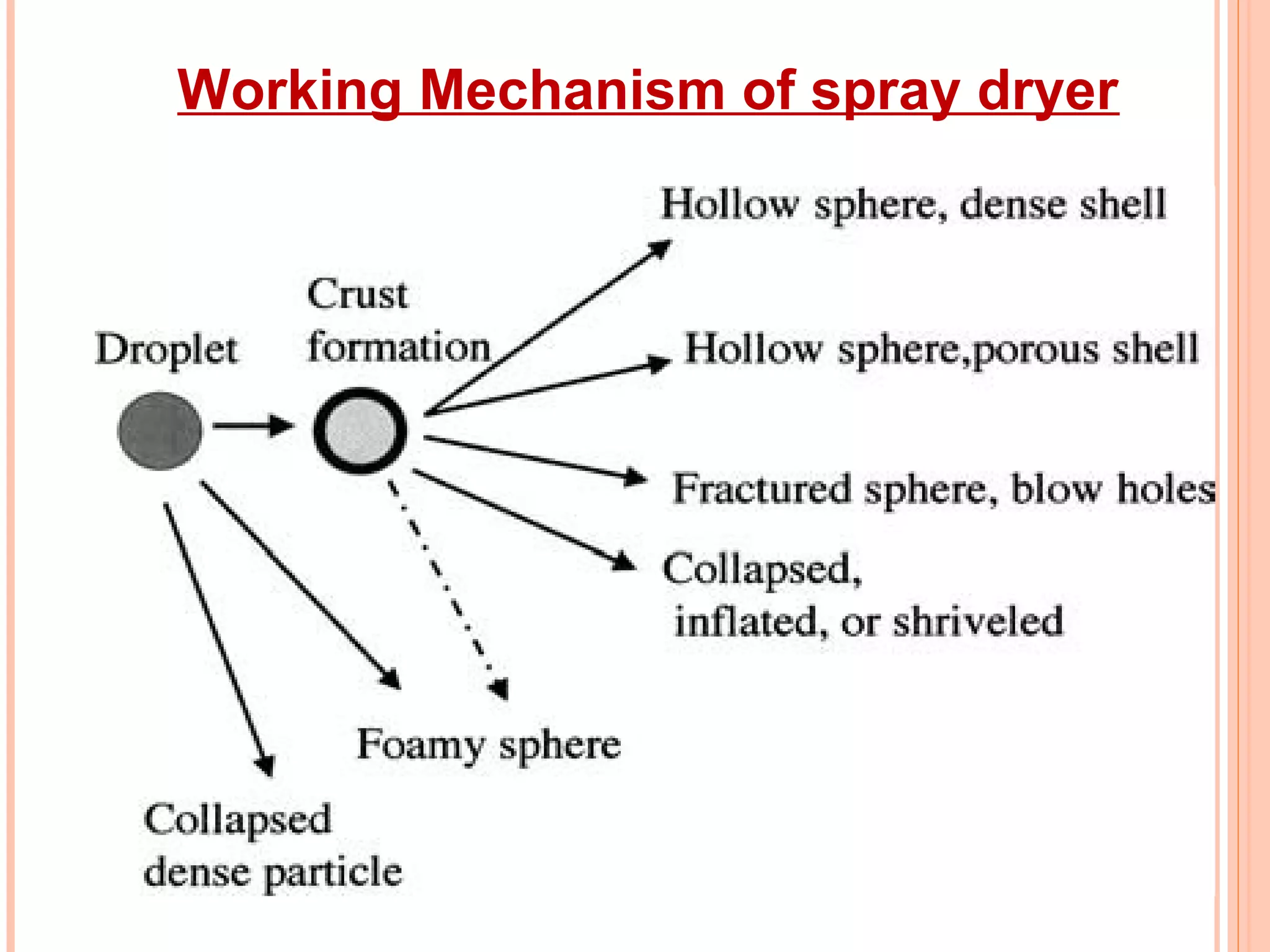 Drying of food | PPT