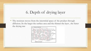 Dryers advantaged and disadvantages for foods | PPTX