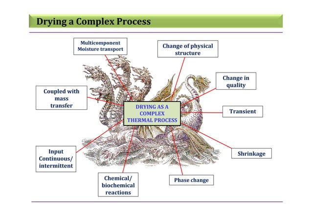Drying_Principles and Practice.pdf