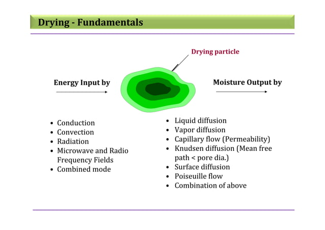 Drying_Principles and Practice.pdf