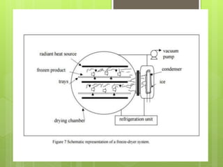 Drying process | PPTX