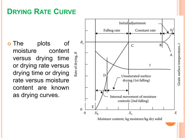 Drying theory and drying rating curve | PPTX | Agriculture | Industries