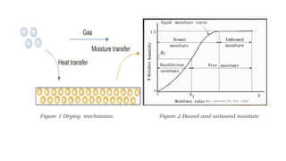 Drying & Water Content with bound & unbound water | PPTX
