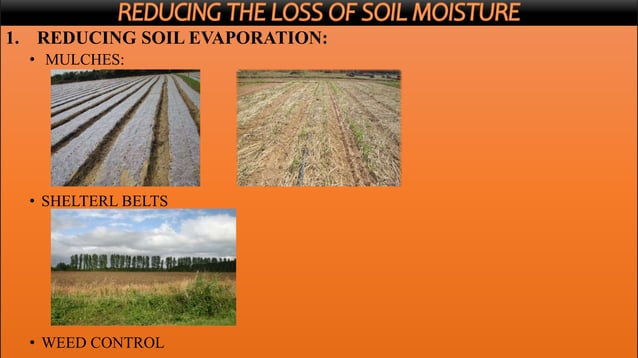 DRY LAND.pptx | Agriculture | Industries