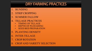 DRY LAND.pptx
