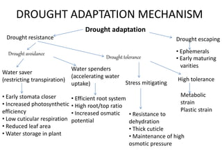 DRYLAND AGRICULTURE, classification.pptx