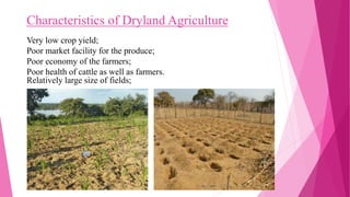 Dry land agriulture | PPTX