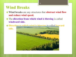 Dryland technology | PPTX