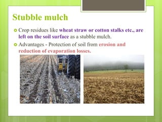 Dryland technology | PPTX