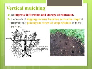 Dryland technology | PPTX