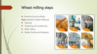 Dry_Milling.pptxvvhhffdsjjdfhjgfrhkutgbhh | PPTX