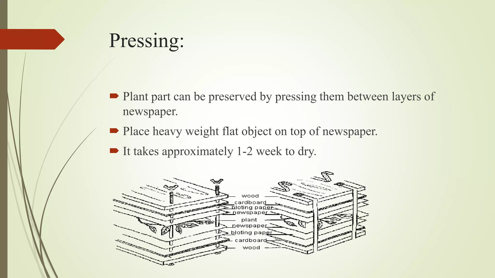 Dry preservation of plants rahma | PPTX