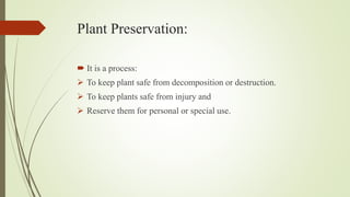 Dry preservation of plants rahma | PPTX