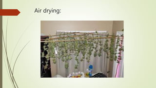 Dry preservation of plants rahma | PPTX