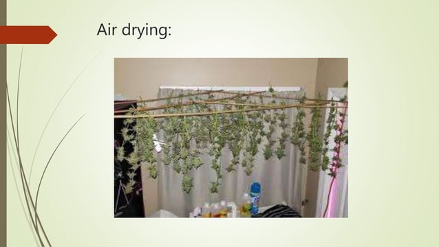 Dry preservation of plants rahma | PPTX