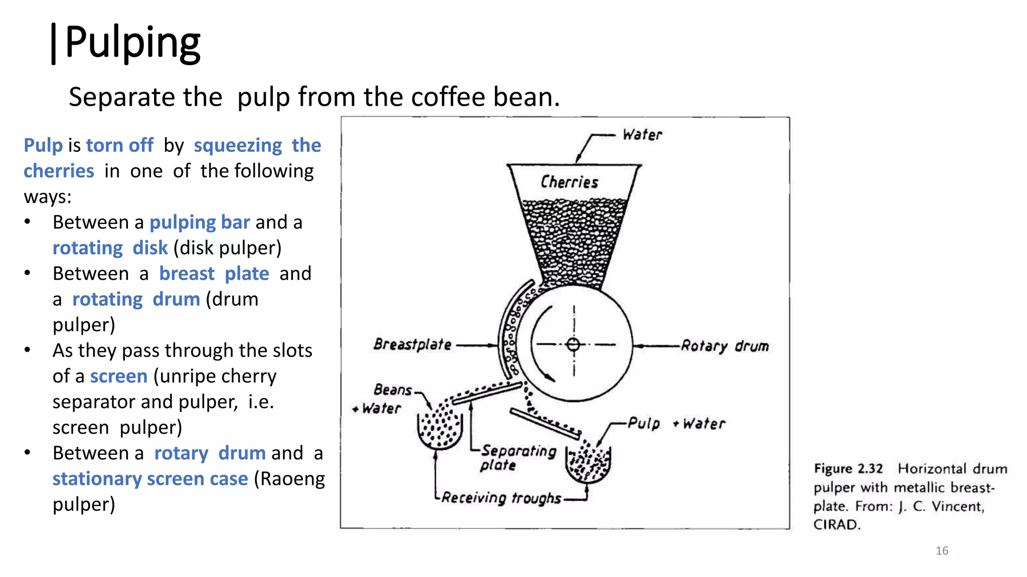 Dry processing and wet processing of Coffee - Washed processing and ...