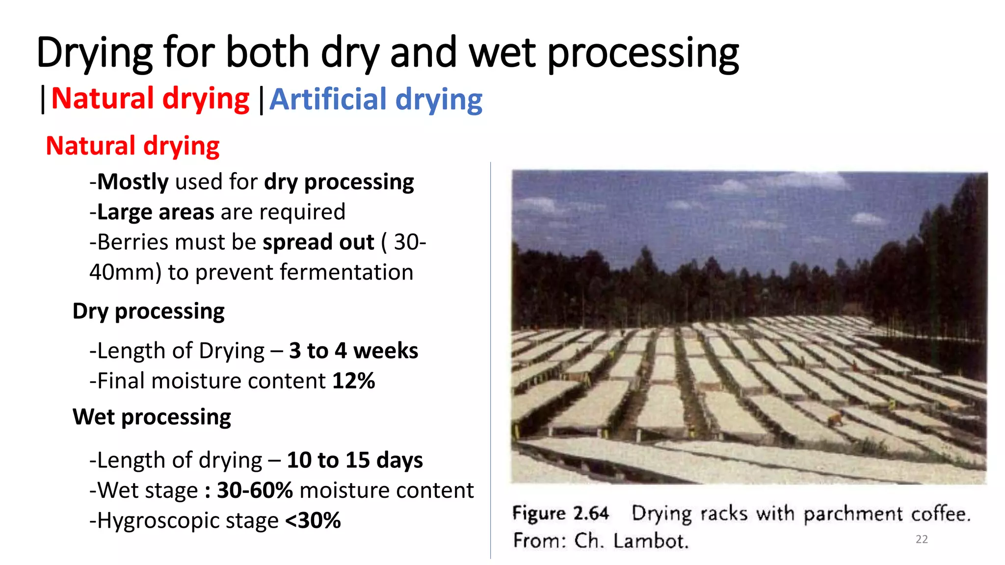 Dry processing and wet processing of Coffee - Washed processing and ...