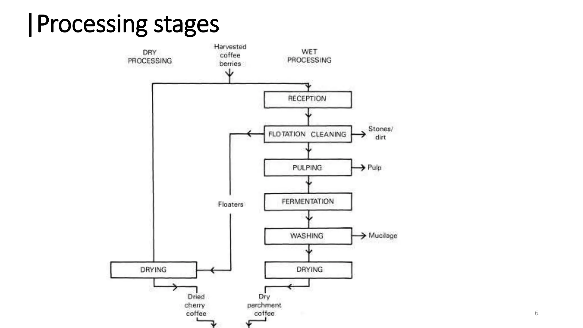 Dry processing and wet processing of Coffee - Washed processing and ...