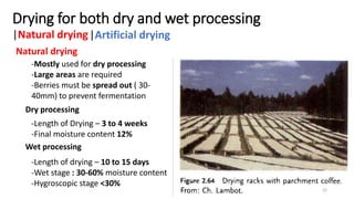 Dry processing and wet processing of Coffee - Washed processing and ...