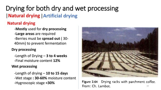 Dry processing and wet processing of Coffee - Washed processing and ...