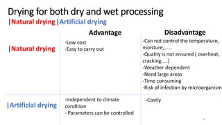 Dry processing and wet processing of Coffee - Washed processing and ...
